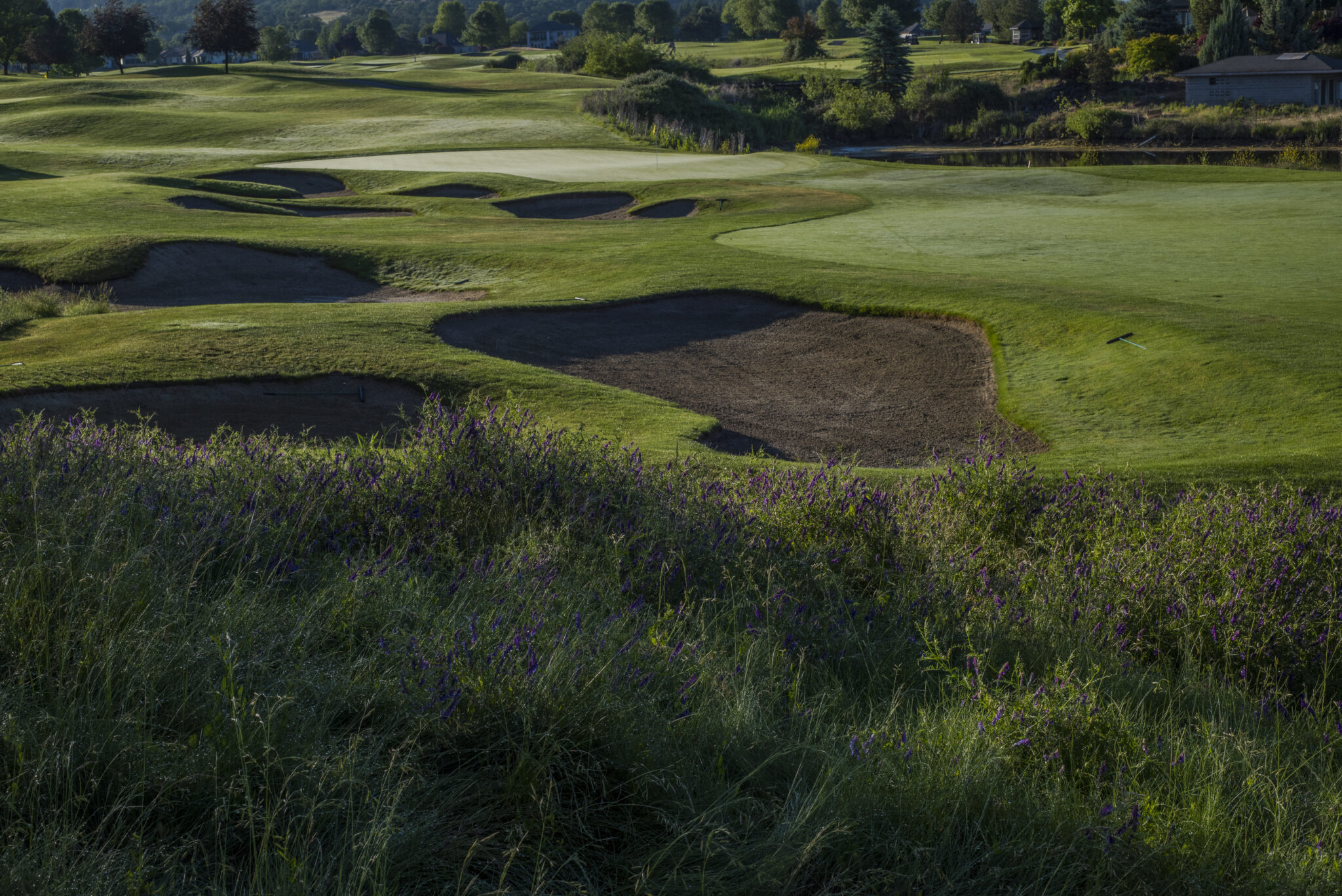 Eagle Point Golf Club Details - eaglepointgolf.com